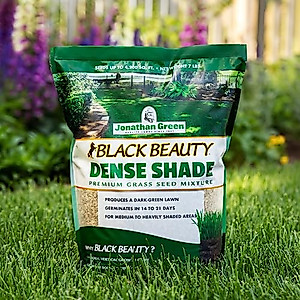 Jonathan Green (10600) Black Beauty Dense Shade Grass Seed - Cool Season Lawn Seed (3 lb)