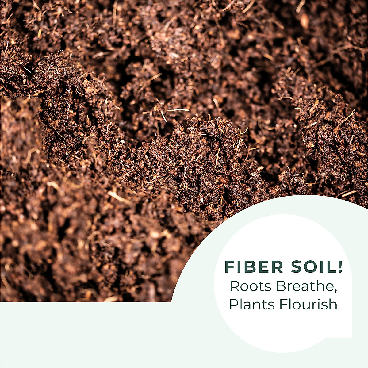 Window Garden 20 Cavity Seed Propagation Kits (2) – Complete with Fiber Soil and Ventilated Greenhouse Trays. Germinate Seeds in a Window or Under Lights for The Garden. Reusable Seedling Starter.