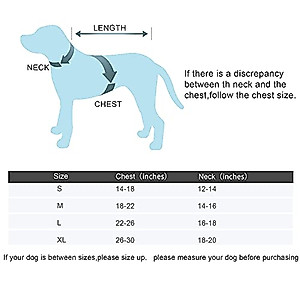 Spooktacular Creations Dinosaur Hoodie Pet Costume for Cat and Dog Halloween Dress Up Party and Pet Cosplay (Medium)