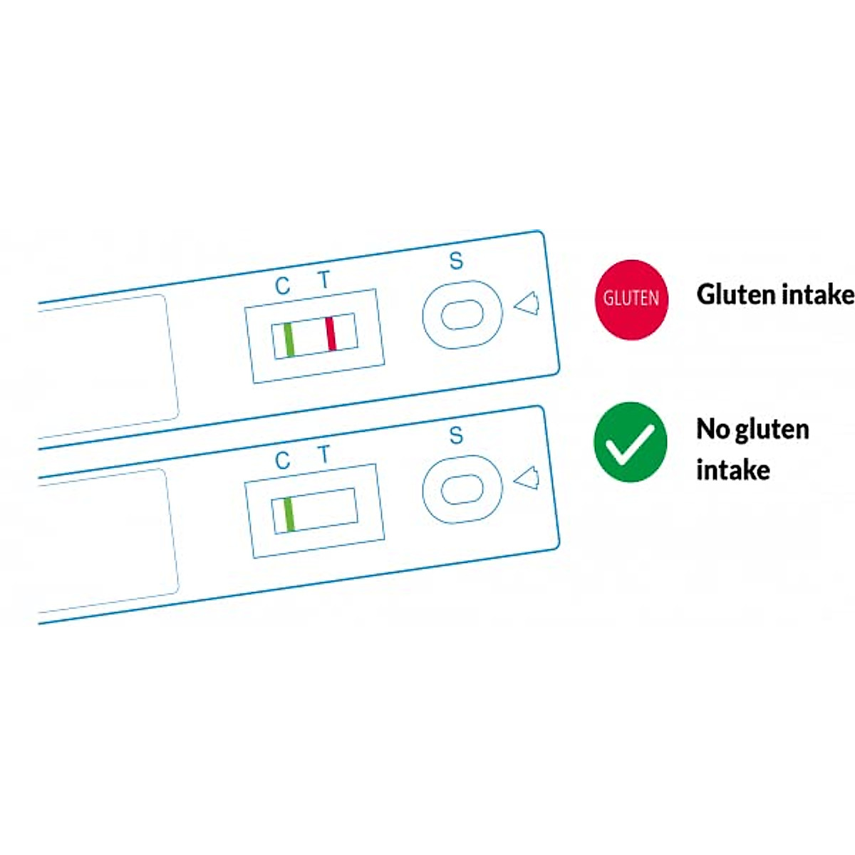 Gluten Detect at-Home 5 Pack Urine Test to Monitor Past Gluten Exposure in The Gluten Free Diet to Prevent Future Gluten Related Symptoms
