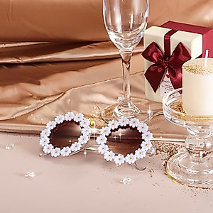 Dollger Retro Daisy Sunglasses for Women Flower Round Fashion Disco Festival Sunglasses, Brown Valentine's Day