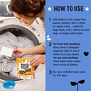 Molly’s Suds Laundry Detergent Sheets | Gentle on Sensitive Skin, Powerful Bio-Based Enzymes, Stain-Fighting | Liquidless & Plastic-Free Packaging | 120 Loads (Ocean Mist)