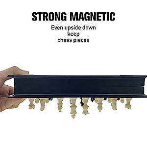 LEAP 9.8" Magnetic Chess Set Foldable Portable Game Board for Adult Travel set with 2 queens