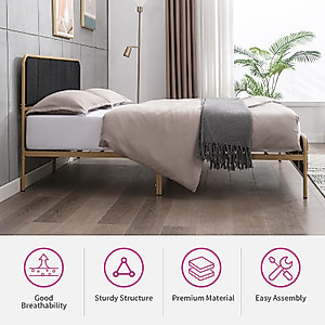 Mixoy Cal King Metal Bed Frame, Velvet Platform Bed Frame with Headboard, Heavy Duty Metal Mattress Foundation, Strong Metal Slat Support, No Box Spring Needed, Easy Assembly (Cal King,Golden/Black)