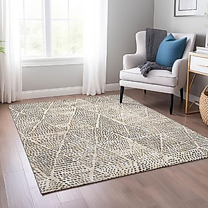 Addison Rugs Chantille ACN591 Beige 10' x 14' Indoor Outdoor Area Rug, Easy Clean, Machine Washable, Non Shedding, Bedroom, Living Room, Dining Room, Kitchen, Patio Rug