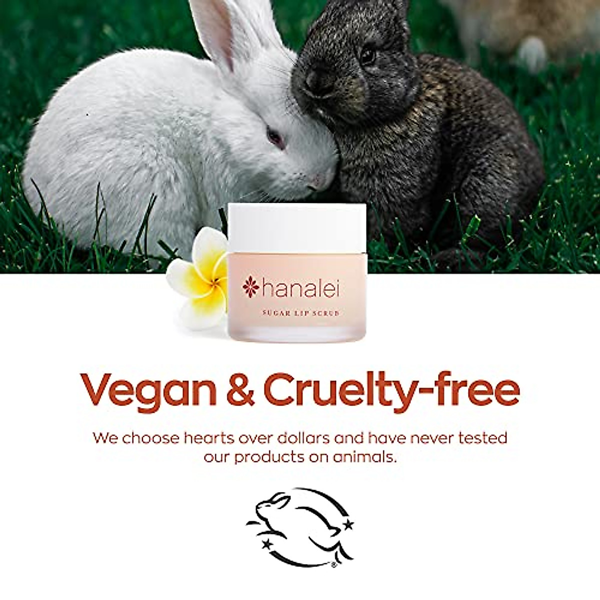 Vegan and Cruelty-Free Sugar Lip Scrub Exfoliator by Hanalei – Made with Hawaiian Cane Sugar, Kukui Oil, and Shea Butter to Exfoliate, Smooth, and Brighten Lips Made in the USA (22 g)