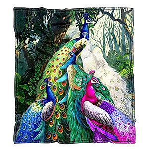 Peacock Blanket Colorful Peacock Themed Pattern Print Decor Soft Cozy Throw Blanket for Kids Women Adults Gift 60"x80"