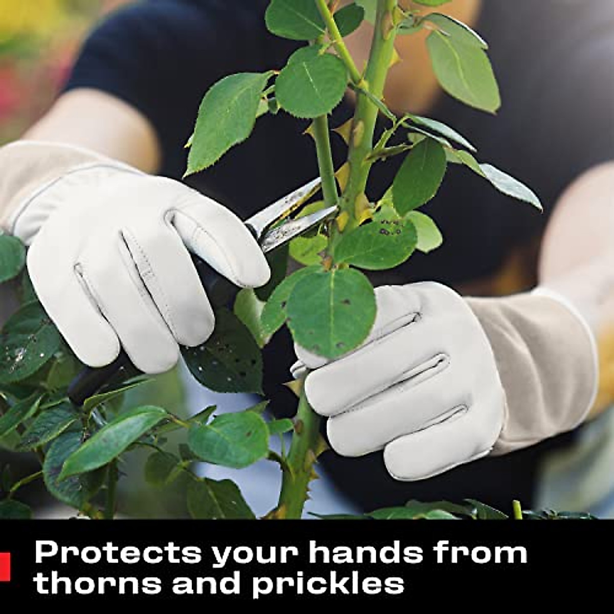 NoCry Long Leather Gardening Gloves for Women and Men; Near Thorn Proof for Cactus, Rose and Blackberry Pruning, General Yard Work and Garden Gloves; Reinforced Palms and Fingertips; Beige; Medium