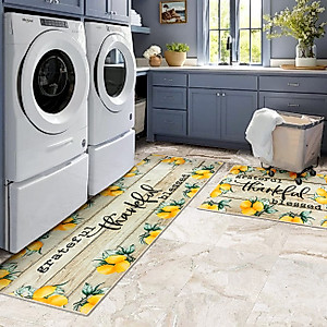 Asrug 2 Pieces Kitchen Rug Set Non-Slip Backing Mat Natural Design Throw Rug for Kitchen Doormat Runner Rug Set, Lemon Design, 17"x48"+17"x24"