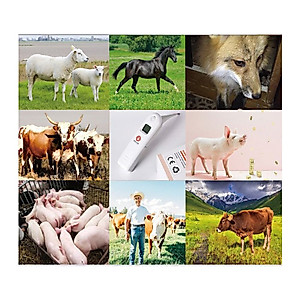 Animal Electronic Ehermometer Pet Thermometer Digital Thermometer is a Fast Rectal Thermometer for Dogs,Horse, Cats, Pigs,Sheep