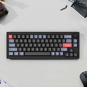 Keychron Q2 Wired Custom Mechanical Keyboard Knob Version, 65% Layout QMK/VIA Programmable Macro with Hot-swappable Gateron G Pro Blue Switch Double Gasket Compatible with Mac Windows Linux (Black)