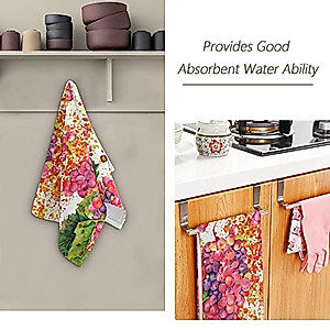 Set of 2 Premium Polyester Cotton Hand Towels Vintage Wine Grape, Highly Absorbent,28.3 x 14.4in(227vb1a)