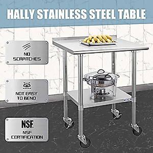 Hally Stainless Steel Table for Prep & Work 24 x 30 Inches with Caster Wheels, NSF Commercial Heavy Duty Table with Undershelf and Backsplash for Restaurant, Home and Hotel