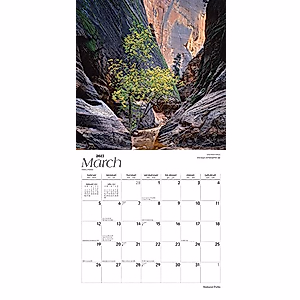 National Parks | 2023 12 x 24 Inch Monthly Square Wall Calendar | Foil Stamped Cover | BrownTrout | Scenic Yosemite Yellowstone Nature