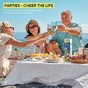 Wine Chiller - Wine Cooler Stick, 3 in 1 Stainless Steel Wine Bottle Chiller with Aerator and Pourer, The Best Holiday Gifts.