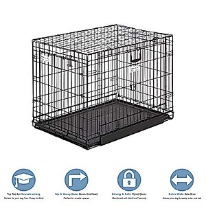MidWest Homes for Pets Ovation Double Door Dog Crate, 36-Inch