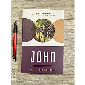 John: Responding to the Incomparable Story of Jesus (New Testament Everyday Bible Study Series)