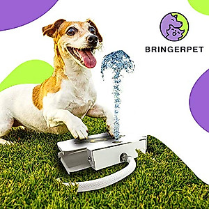 Dog Water Dispenser Pet Fountain - Upgraded 2022 Easy Paw Activated Dog Steps Eco-Friendly Pet Water Fountain with New Durable Leak-Proof Dog Bowl Hose Fresh Water Funny Dog Toys Keep Pets Cool