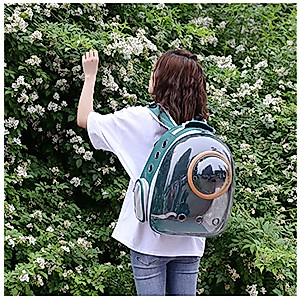 Pet Backpack Carrier Small Puppy Bunny Kitten Airline Approved Space Capsule Bubble Transparent Sightseeing Backpack Birds Travel Cage for Hiking Walking Outdoor