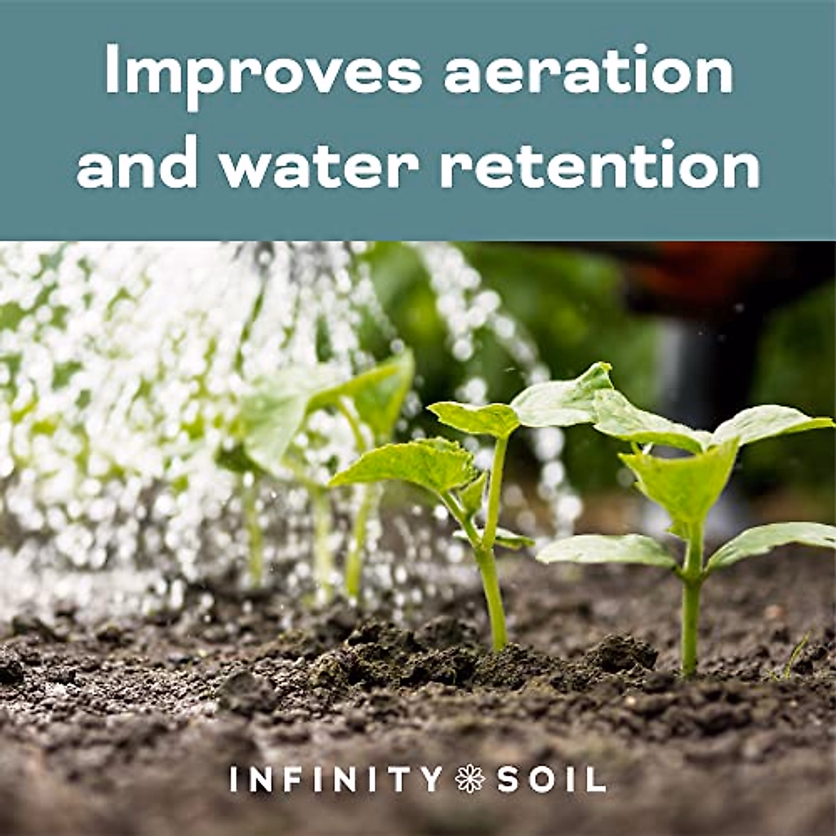 Infinity Soil - Earthworm Castings - Sustainable & Natural Soil Amendment - 0.6-0.7-0.2 NPK - Enhance Soil with Living Microbes and Micronutrients - 1 LB