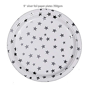 Ottin White and Silver Stars Paper Plates 9'' 48 Counts Twinkle Twinkle Little Star Party Plates for Wedding Birthday Bridal Shower Christmas New Year Winter Party Mother's Day