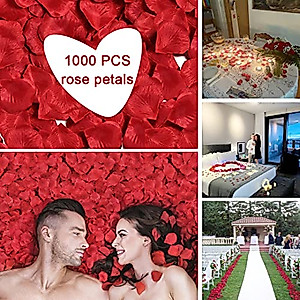 Valentine's Day Banner Set Felt BE MINE Love Heart XO Garlands Accessories&1000 PCS Rose Petals Proposal Party Flag Romantic Decora Wedding/Home/Anniversary/Birthday Decoration Supplies