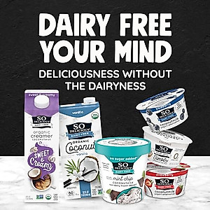 So Delicious Dairy Free Coconut Milk Yogurt Alternative, Strawberry, Vegan, Non-GMO Project Verified, 5.3 oz.