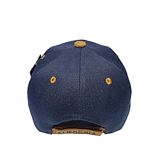 Embroidered Mens Womens Cap HAT Curved Bill Baseball California Republic Bear Gold