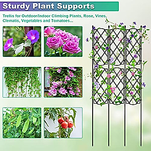 Garden Trellis for Climbing Plants Outdoor, deaunbr Tomato Cage Plant Support Garden Obelisk Trellises Cages for Vines, Flowers, Indoor Potted Plants, Rose, Clematis, Cucumber Pea, Bean, Grape