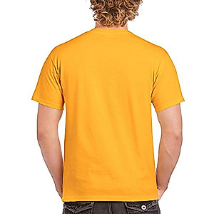 Gildan Adult Ultra Cotton T-Shirt, Style G2000, Multipack, Gold (2-Pack), Small