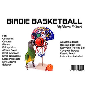 Birdie Basketball - Adjustable Height Parrot Basketball Trick Prop