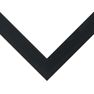 wallsthatspeak Elements 11x14 Picture Frame, Wall Hanging Black Frame Displays Vertically or Horizontally with Attached Hardware, Includes High Clarity Glass