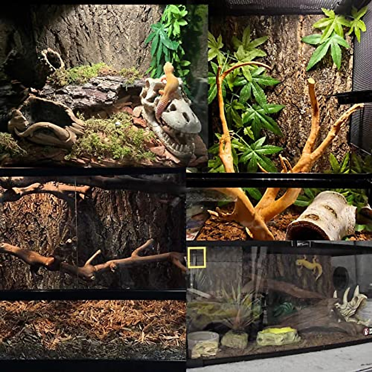 Tfwadmx Cork Tile Terrarium Background Reptile Bark Backdrop Wall Decor 3D Bearded Dragon Tank Climbing Mat Decoration for Gecko Lizard Tortoise Chameleon (2 Pack)