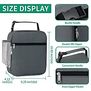 ProCattle Reusable Lunch Box for Kids Men Women Adults, Durable Small Insulated Lunch Bag, Portable Lunchbox for Office Work -Gray