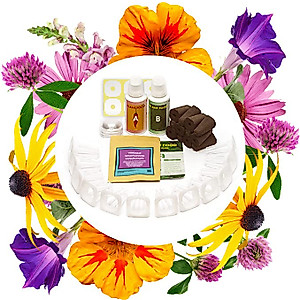 Vibrant Wildflower Garden Pod Kit (12-Pod) for LYKO/QYO/Yoocaa Hydroponics Growing System, 12-Pod Square with Growing Guide