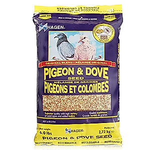 Hagen Pigeon & Dove Seed, Nutritionally Complete Bird Food, original version, 6 Pound (Pack of 1) (B2704)