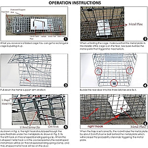 Large Animal Trap for Adult Cat, Rabbit Groundhog Squirrel Raccoon Mole Gopher Chicken Opossum Skunk Chipmunk, 32inch Live Traps for Animals Outdoor Indoor Collapsible Steel Release Animal Cage