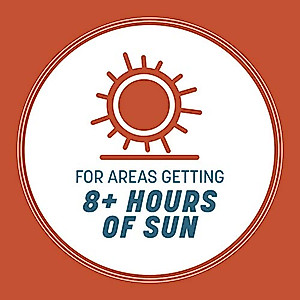 Pennington Smart Seed Bermudagrass Mix with 2x faster results 8.75 LB