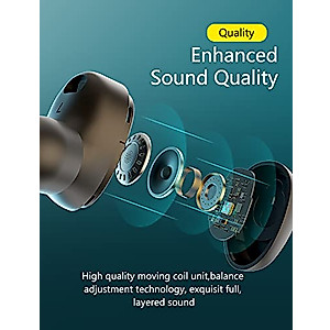 Bluedio D3 Wireless Earbuds, in-Ear Earphones with Charging Case, Car Headset Built-in Mic Support Wireless Charging for Cell Phone, Sport, Black