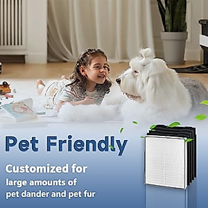 HEPA Filter Replacement for Whirlpool Whispure Air Purifier AP450 AP510 AP51030K AP51030KB AP45030K WP500 WP1000 1183054K 8171434K, Funmit 1 True HEPA Filter + 4 Activated Carbon Filter