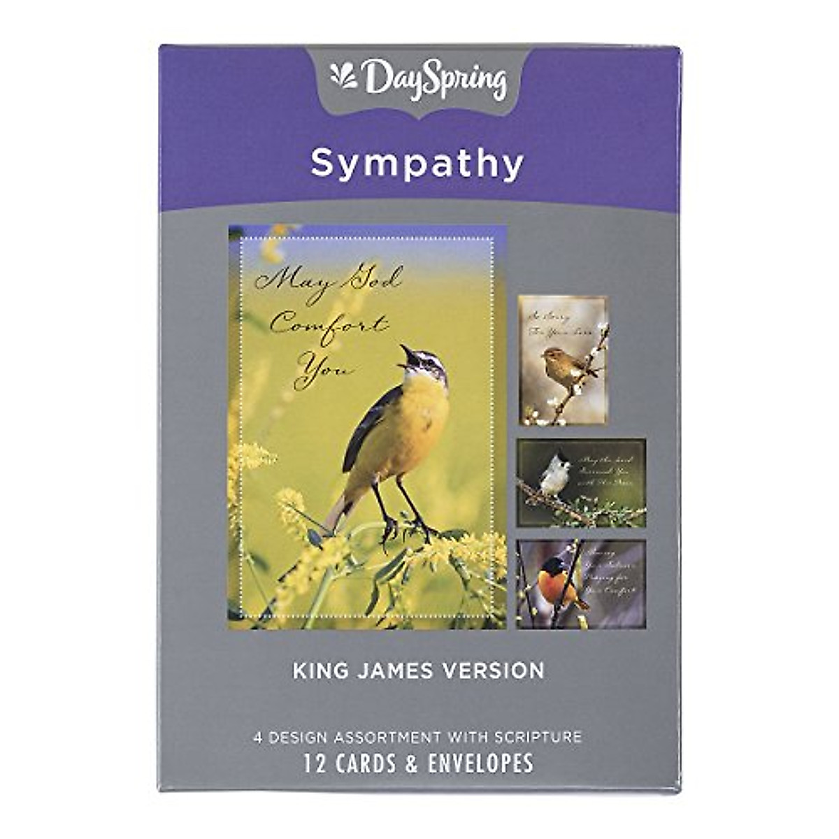 DaySpring - Sympathy - Comforting Thoughts - 12 Boxed Cards, KJV (60934),Multi