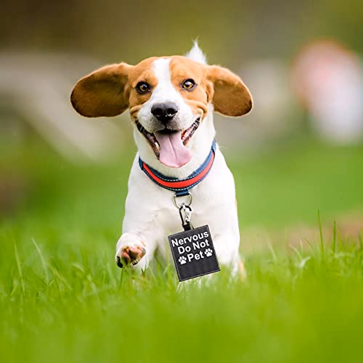 Funny Dog Leash Sleeve Nervous Do Not Pet Dog Leash Wrap Wrap Alert Hanging ID Patch Tag Pet Birthday Gift(Do Not Pet-Tag)