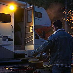 Lumitronics RV 12" LED Oval Outdoor Exterior Scare/Porch Light - Clear Lens (Black)