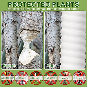 4 Pcs Tree Trunk Protector-2 Size Plastic Spiral Tree Guard Tree Trunk Protector Wrap Tree Bark Protector Tube Tree Wraps to Protect Bark Tree Saplings from Deer Cats Rodents Rabbit Mowers (White)