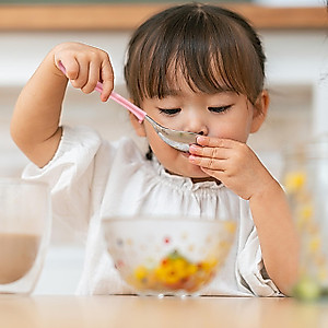 4PCS Toddler Utensils, MONGSEW Toddler Forks and Spoons Set, Premium Food-Grade Stainless Steel Kids Silverware Set with Stylish Squirrel and Rabbit Pattern Handle, Dishwasher Safe