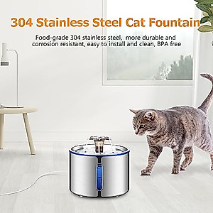 Cat Water Fountain, BOORCA 84oz/2.5L Stainless Steel Pet Water Fountain, Automatic Dog Water Dispenser with Water Level Window, Ultra-Quiet Pump and 2 Replacement Filters for Cats, Dogs, Multiple Pets