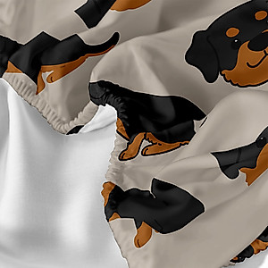 Axolotl Puppy Dog Fitted Sheet Queen,Cute Rottweiler Bedding Sheet Set,Cartoon Pet Puppy Fitted Sheet,Lovely Animal Sheet Set For Kids Boys Girls Teens Adults,1 Flat Sheet 1 Fitted Sheet 2 Pillowcases