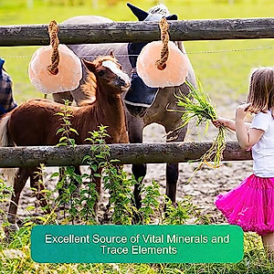 Fabbay 8 Pcs Lick Salt Round Pink 3.3lbs Salt Lick on Rope Natural Lick Salt Block Long Lasting Mineral Salt Block for Horse Deer Cow Goat Cattle Pig Small Pet and Livestock