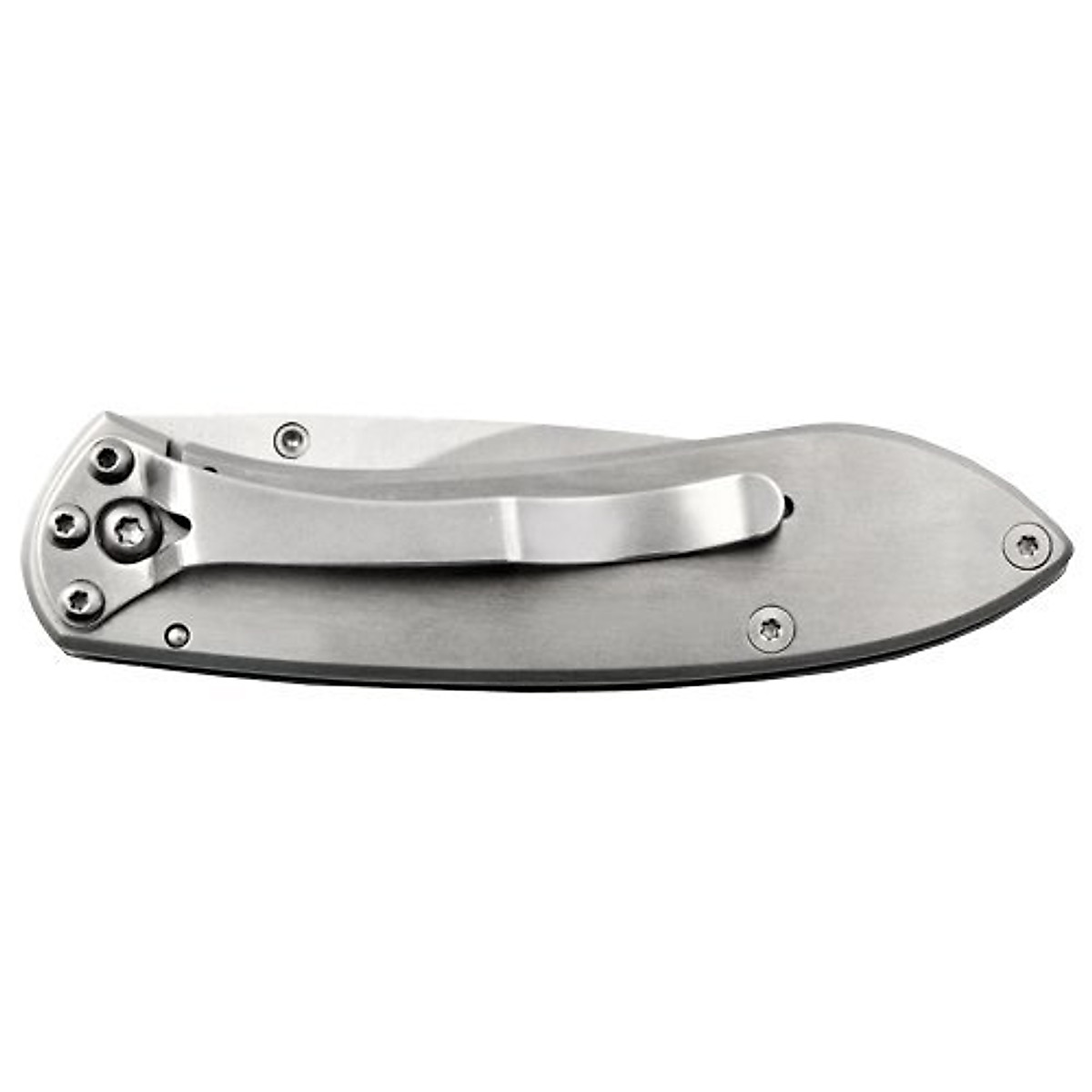 Buck Custom Engraved Stainless Steel Pocket Knife (Fingerprint + Text Engraving)