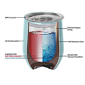 Fancyfams She Believed She Could So She Did - Congratulations Gifts - Graduation Gifts for Her - 12 oz Stainless Steel Wine Tumbler (Blue)